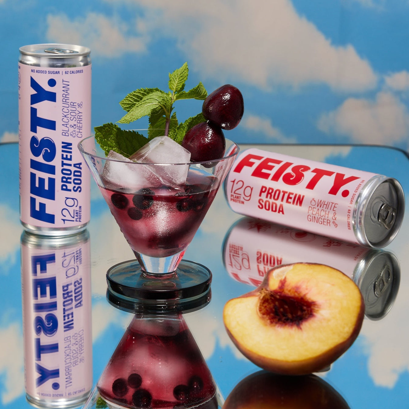 Feisty Protein Soda Mix 12 Pack – Feisty Drinks