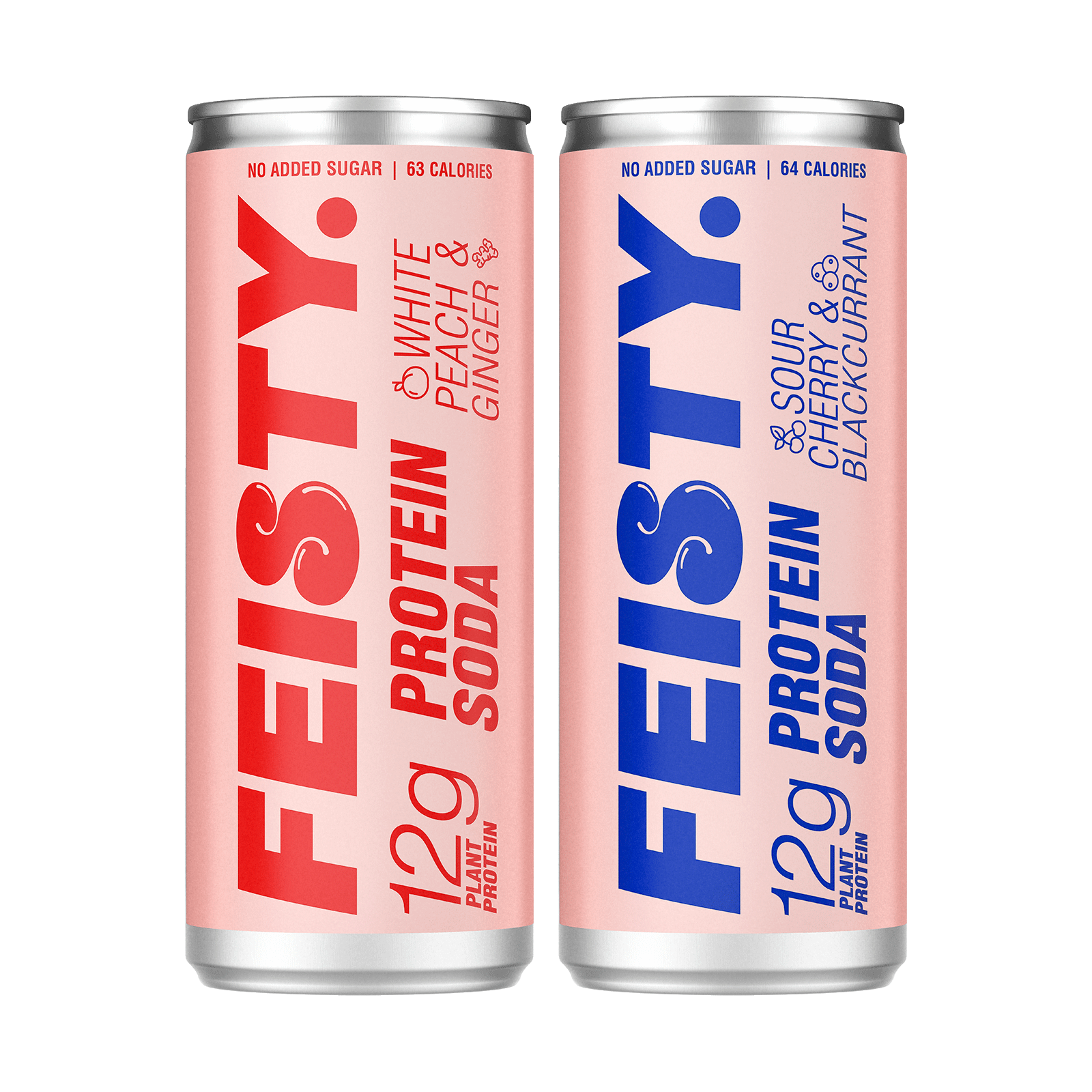 Feisty Protein Soda Mix 12 Pack – Feisty Drinks