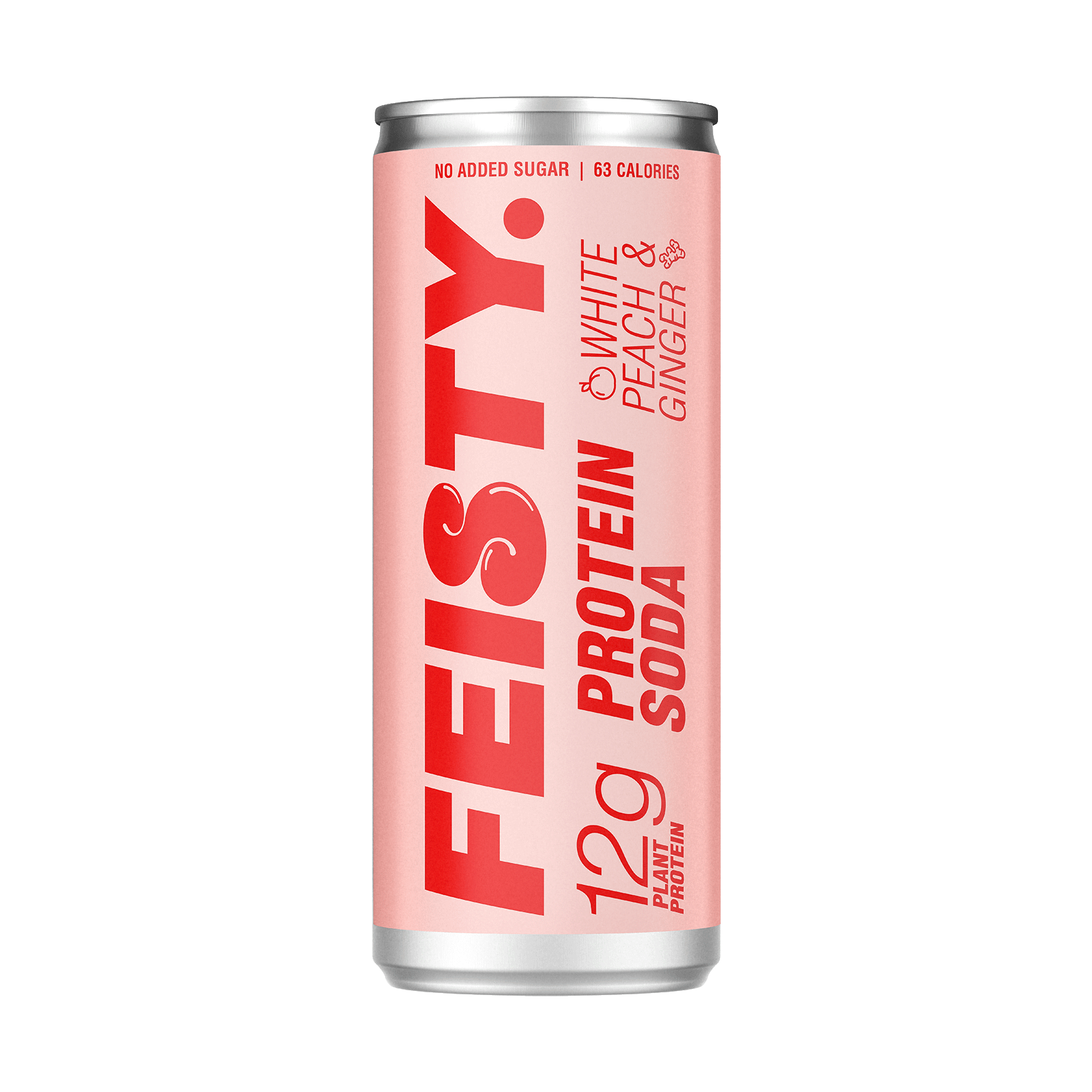 Feisty - Protein Soda – Feisty Drinks