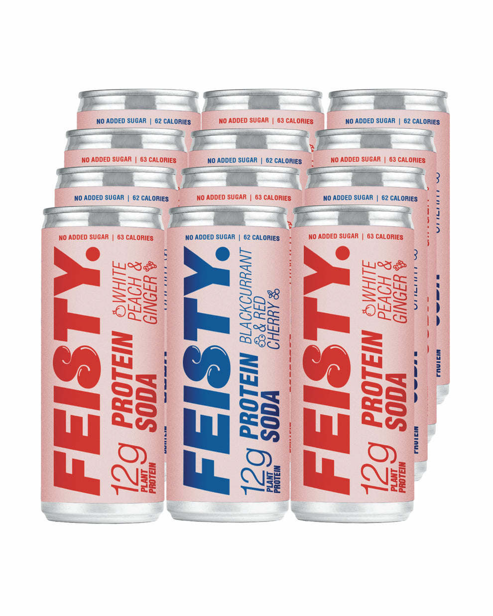 Feisty Protein Soda Mix 12 Pack – Feisty Drinks